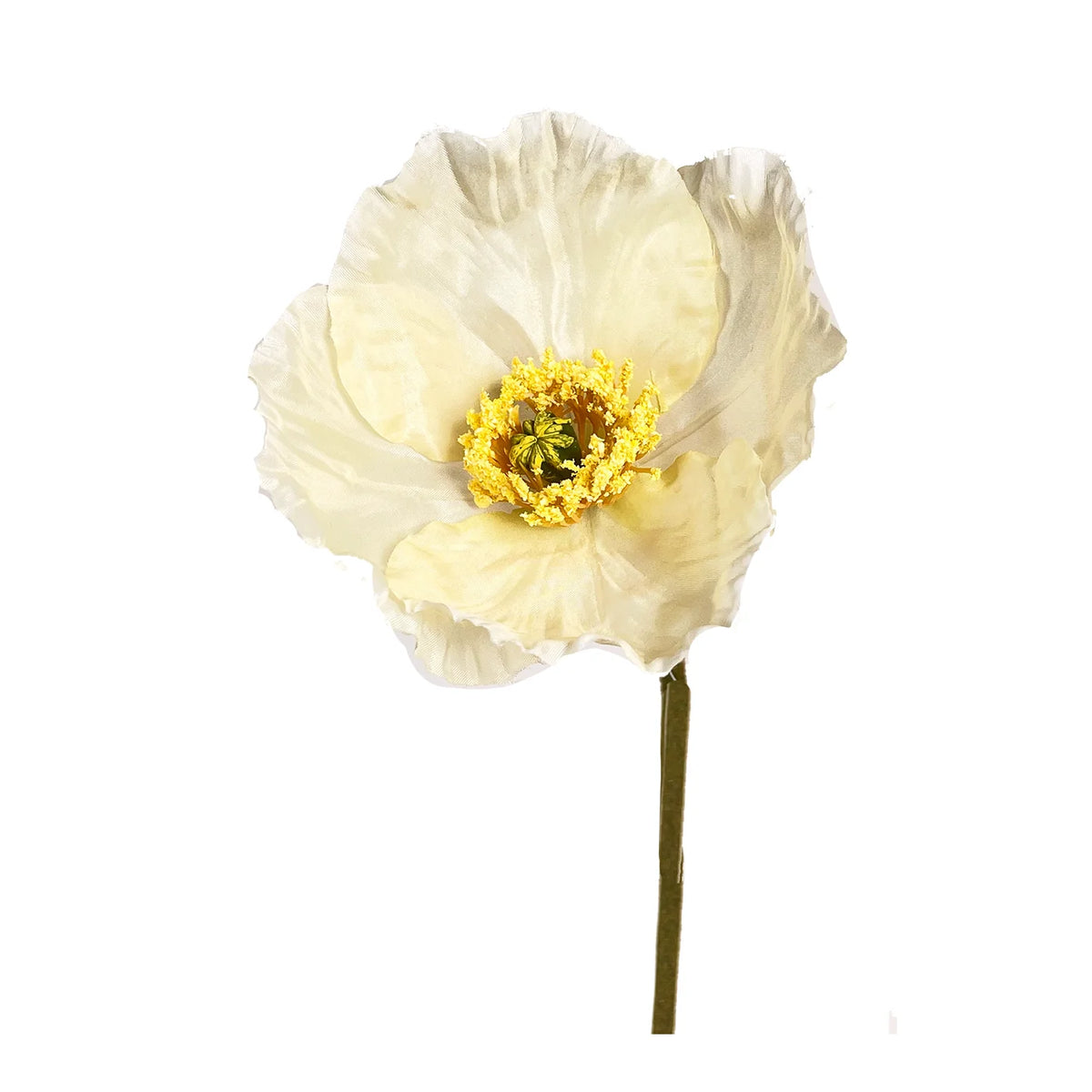 Cream Poppy Stem (6 in stock) – verandacollection